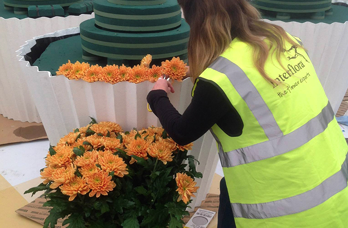 Home - Interflora World Cup 2023 Live